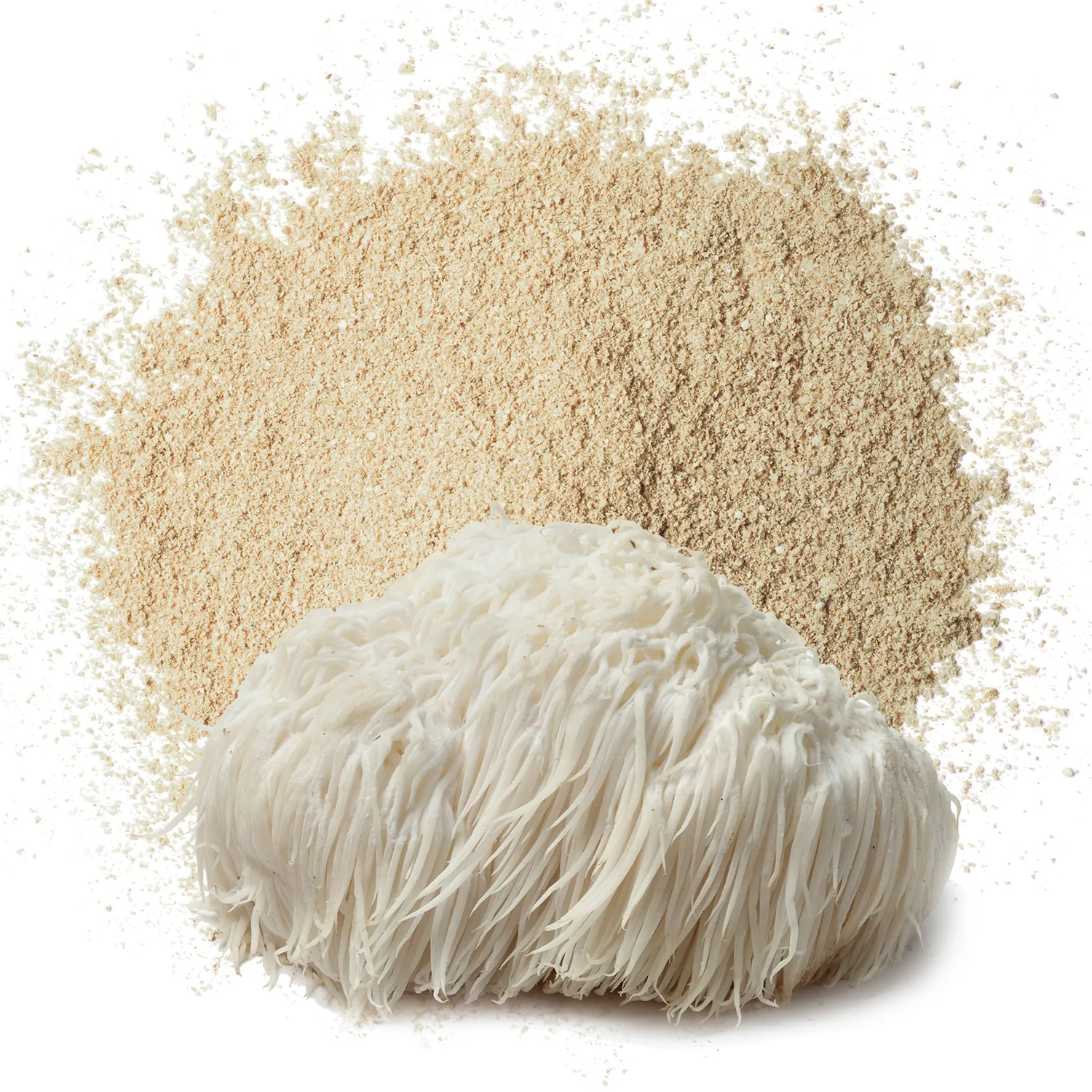 Lion's Mane Mushroom Powder [Brain Booster][Ultimate Memory] – FoodforNegus